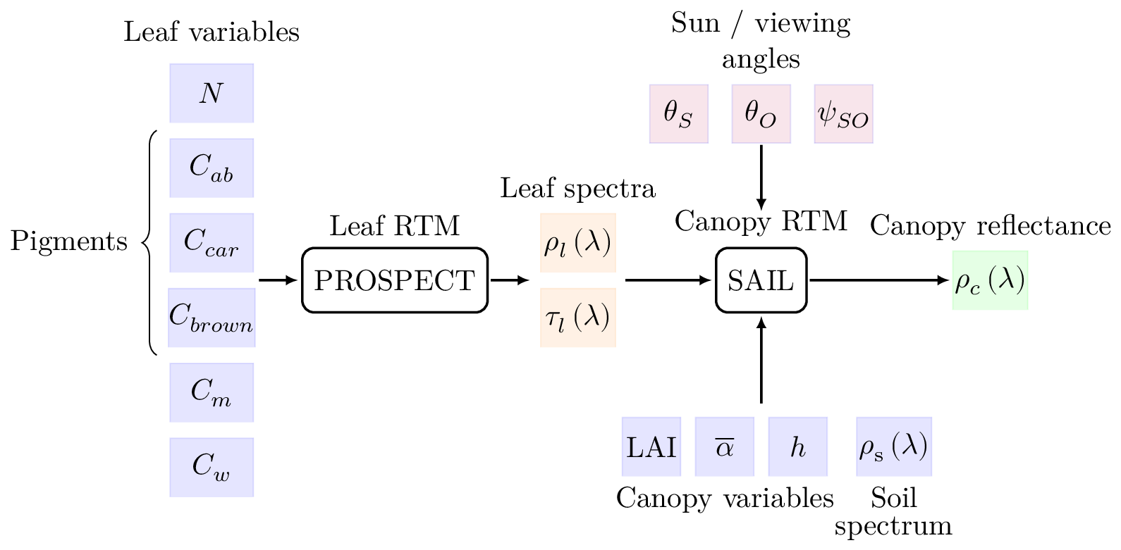 Biophysical Parameter Retrieval From Sentinel 2 Images Using Physics